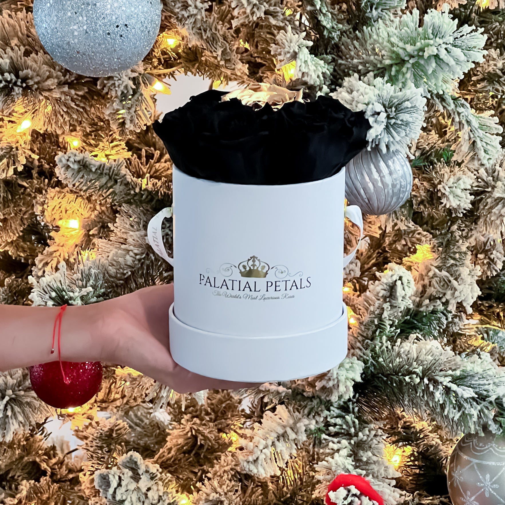 Black Roses Meaning, Care & Luxury Floral Ideas – Palatial Petals