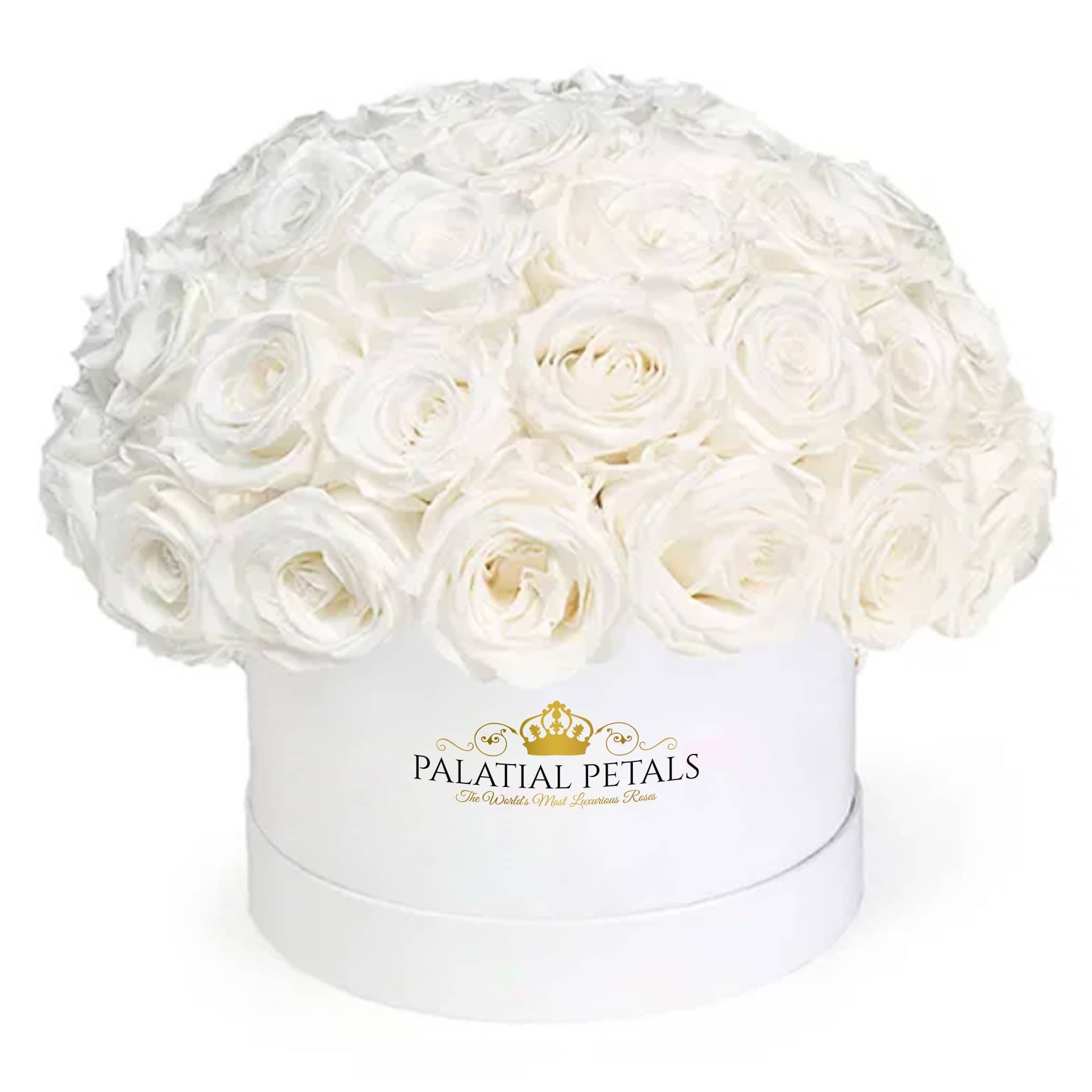 White Roses That Last A Year - Classic "Dome" Rose Box – Palatial Petals
